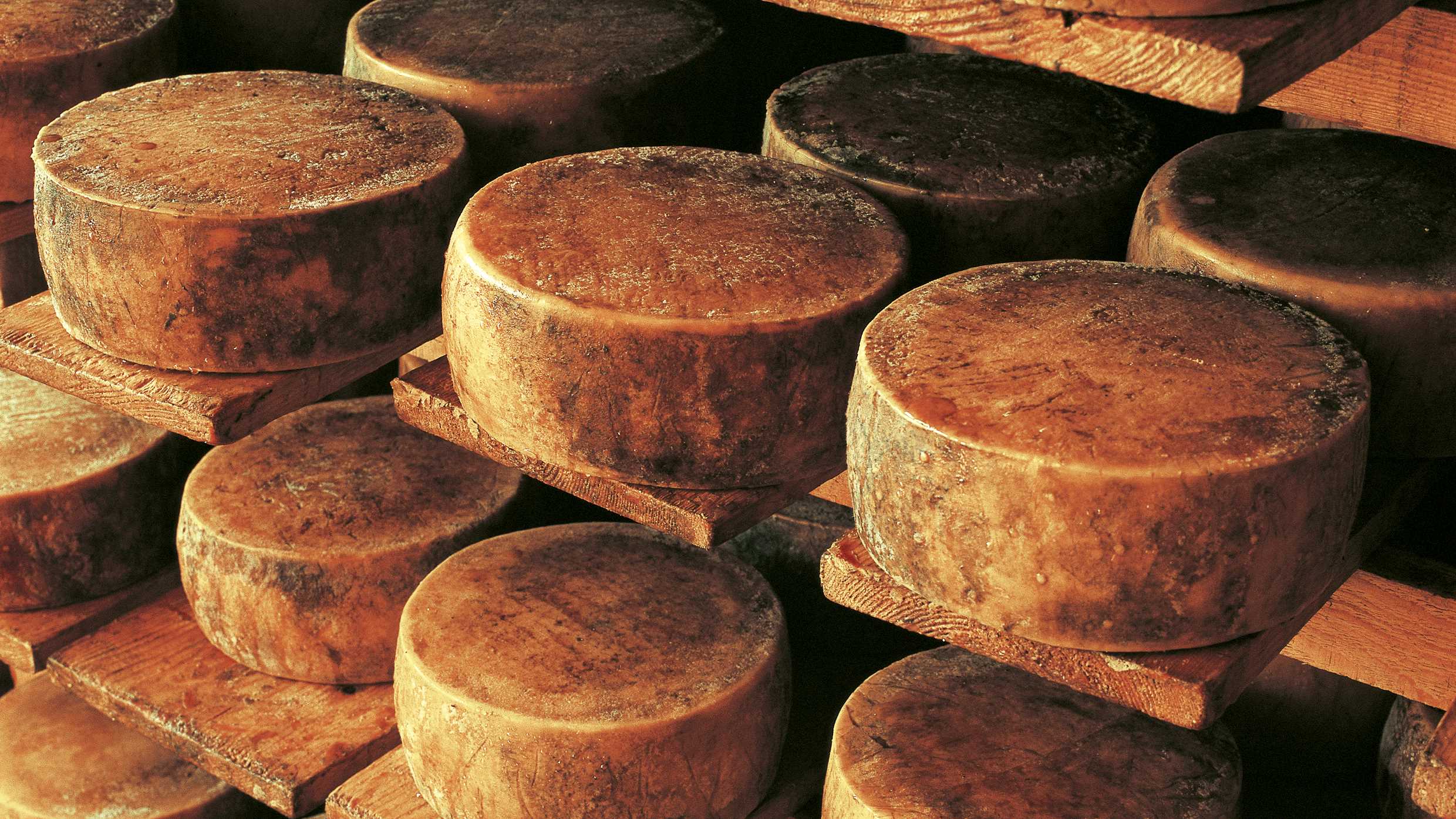 Pag cheese - the symbol of the island of Pag | Croatia.hr