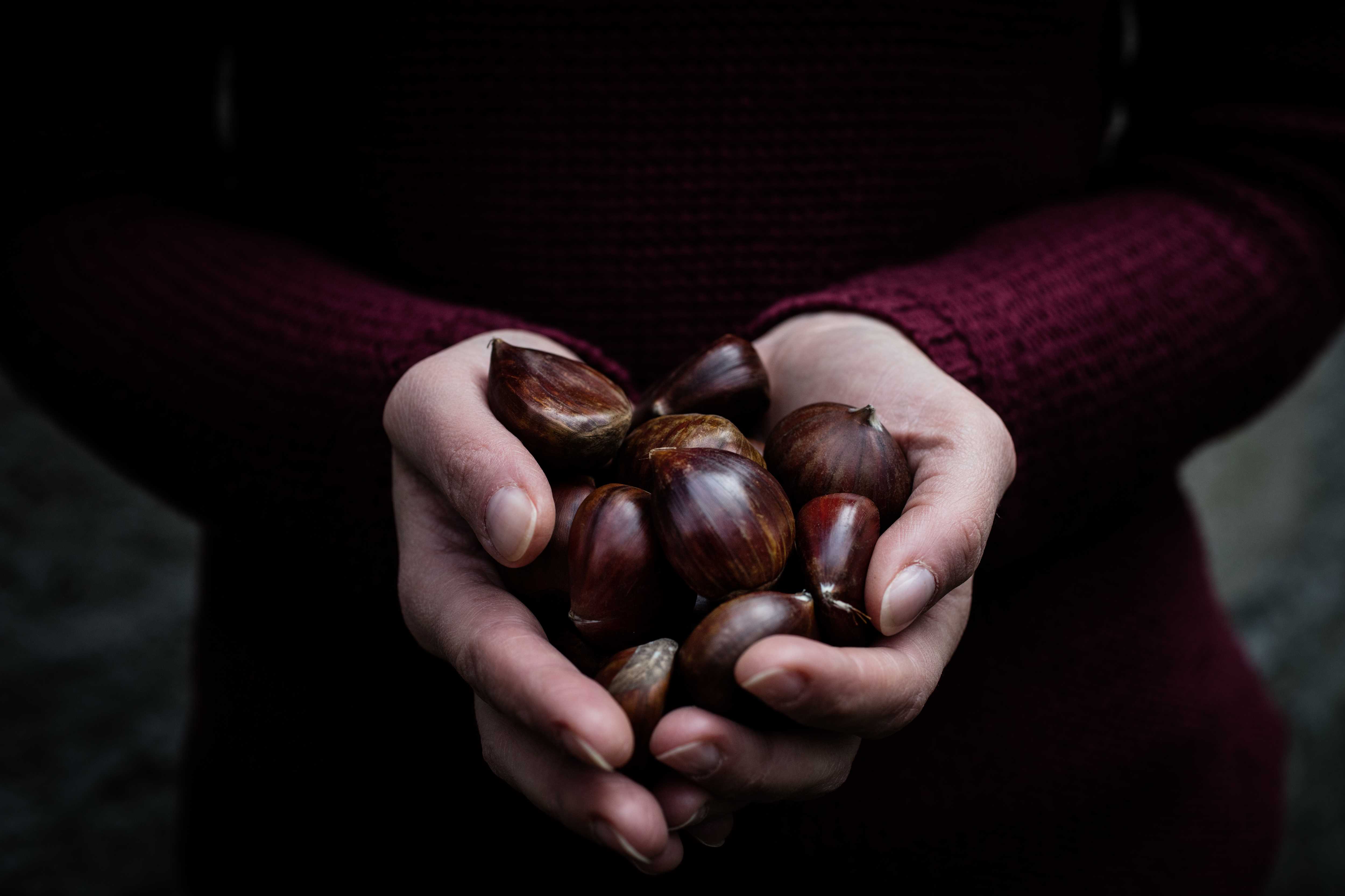 Maroons from Lovran - sweeter and bigger maroon | Croatia.hr