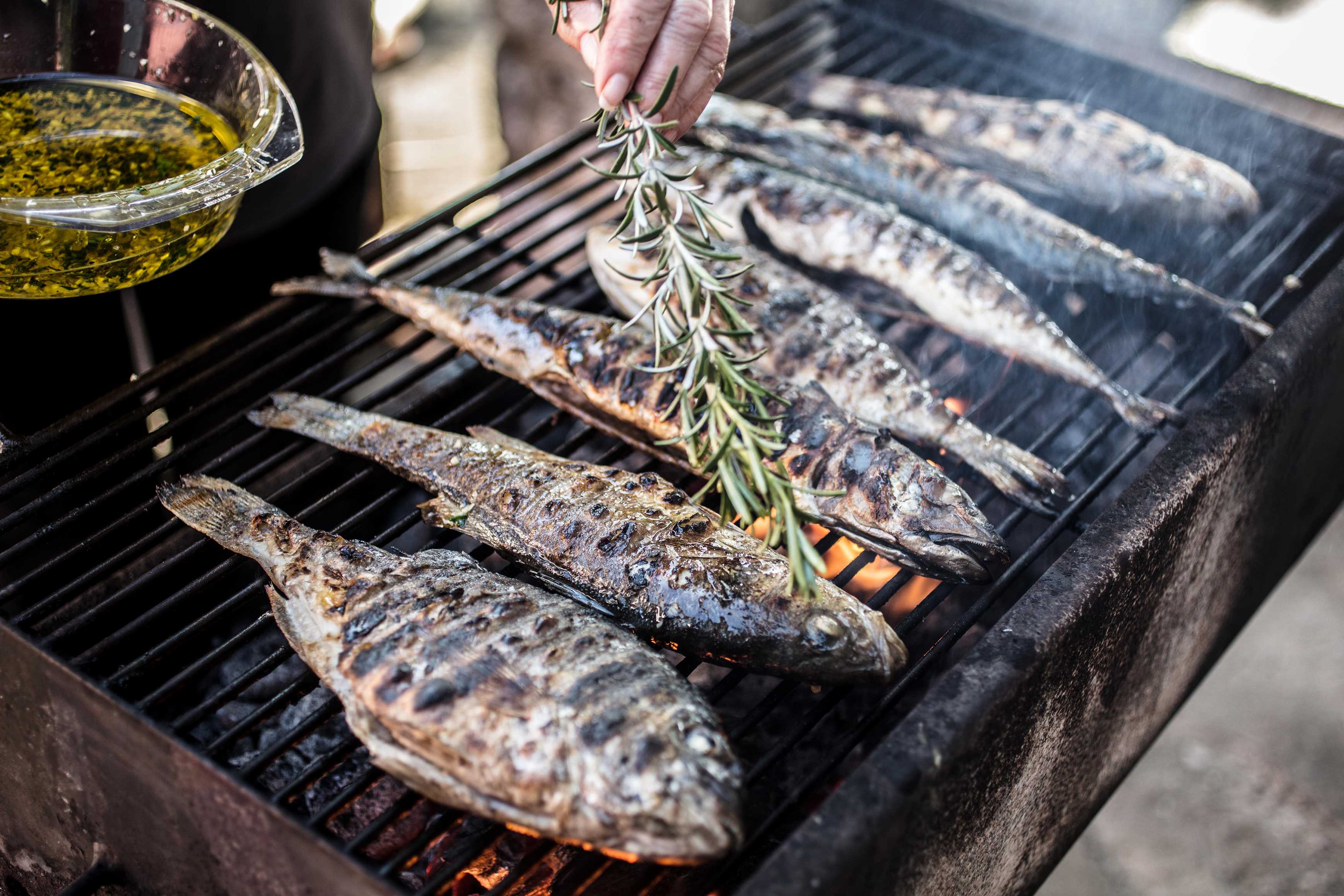 Barbecue and grill - barbecue by the sea | Croatia.hr