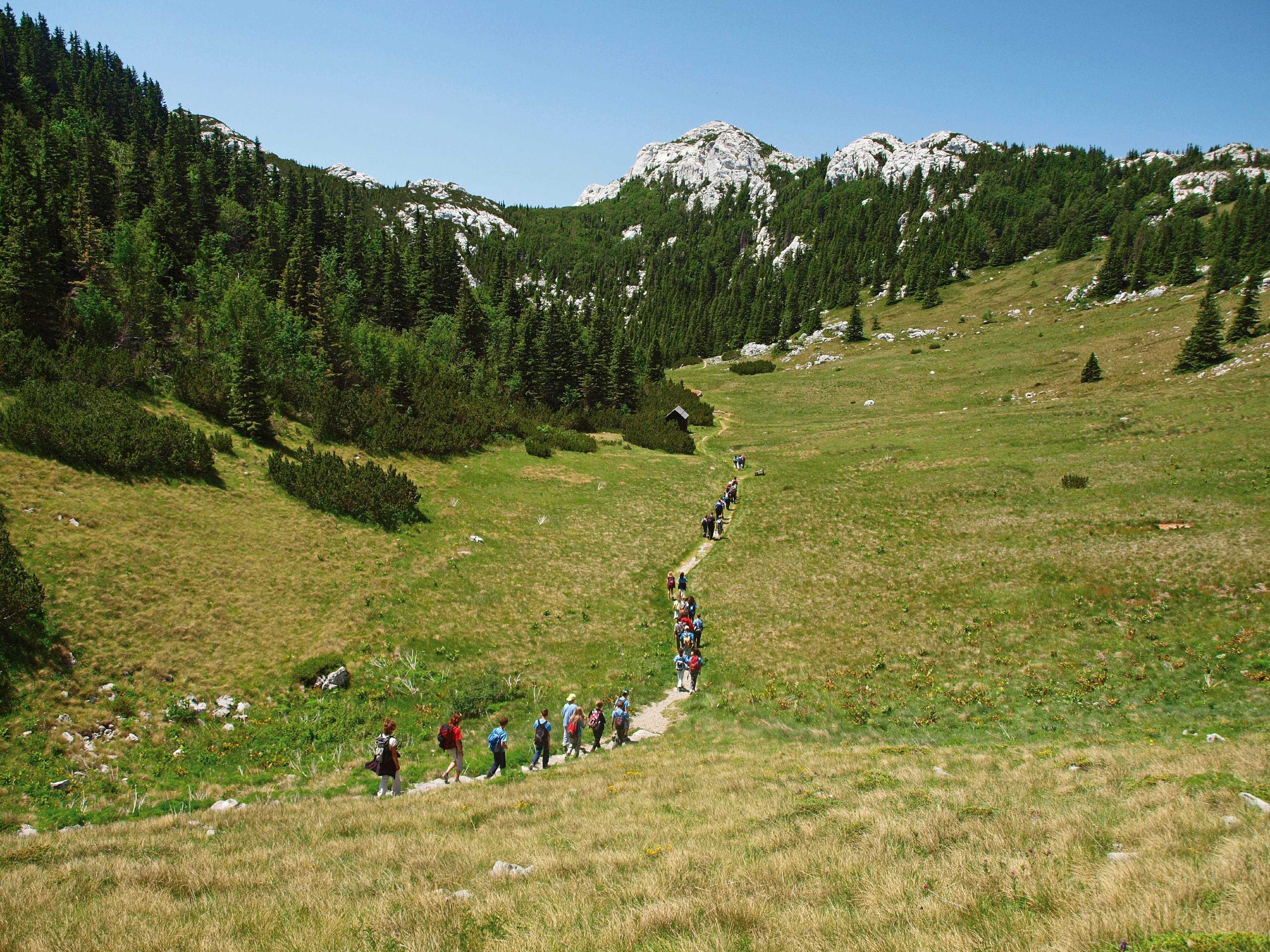 Northern Velebit - Karst and rare plant species | Croatia.hr