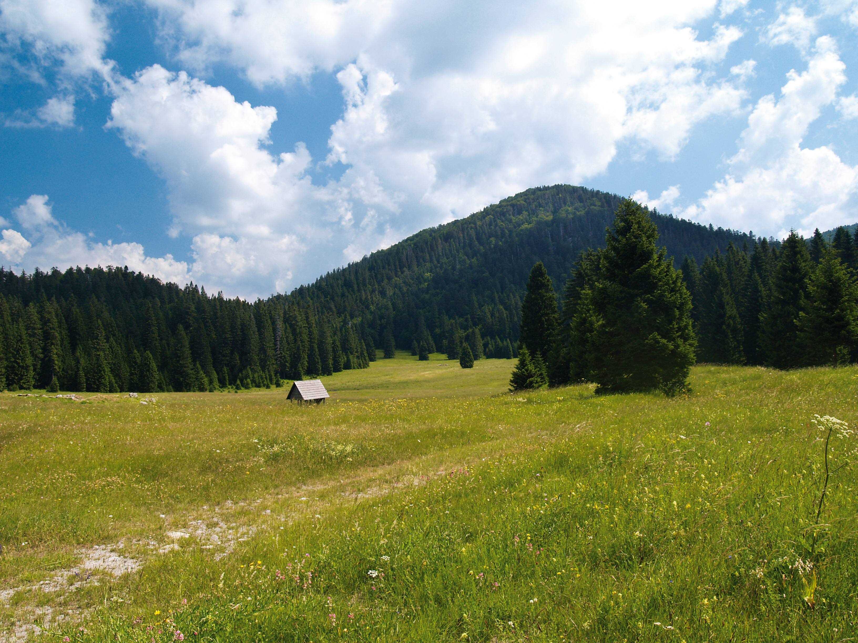 Hiking Risnjak and Snježnik | Croatia.hr