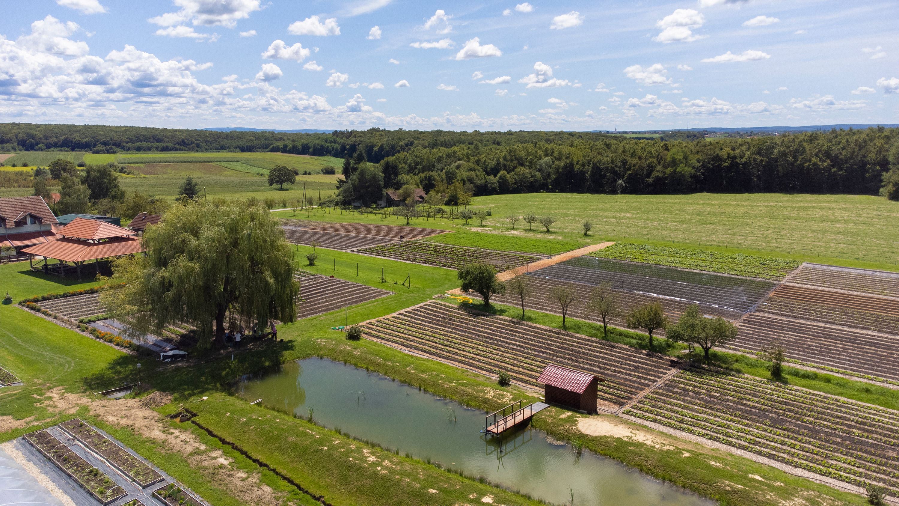 Experience Local: Zrno Eco Estate | Croatia.hr