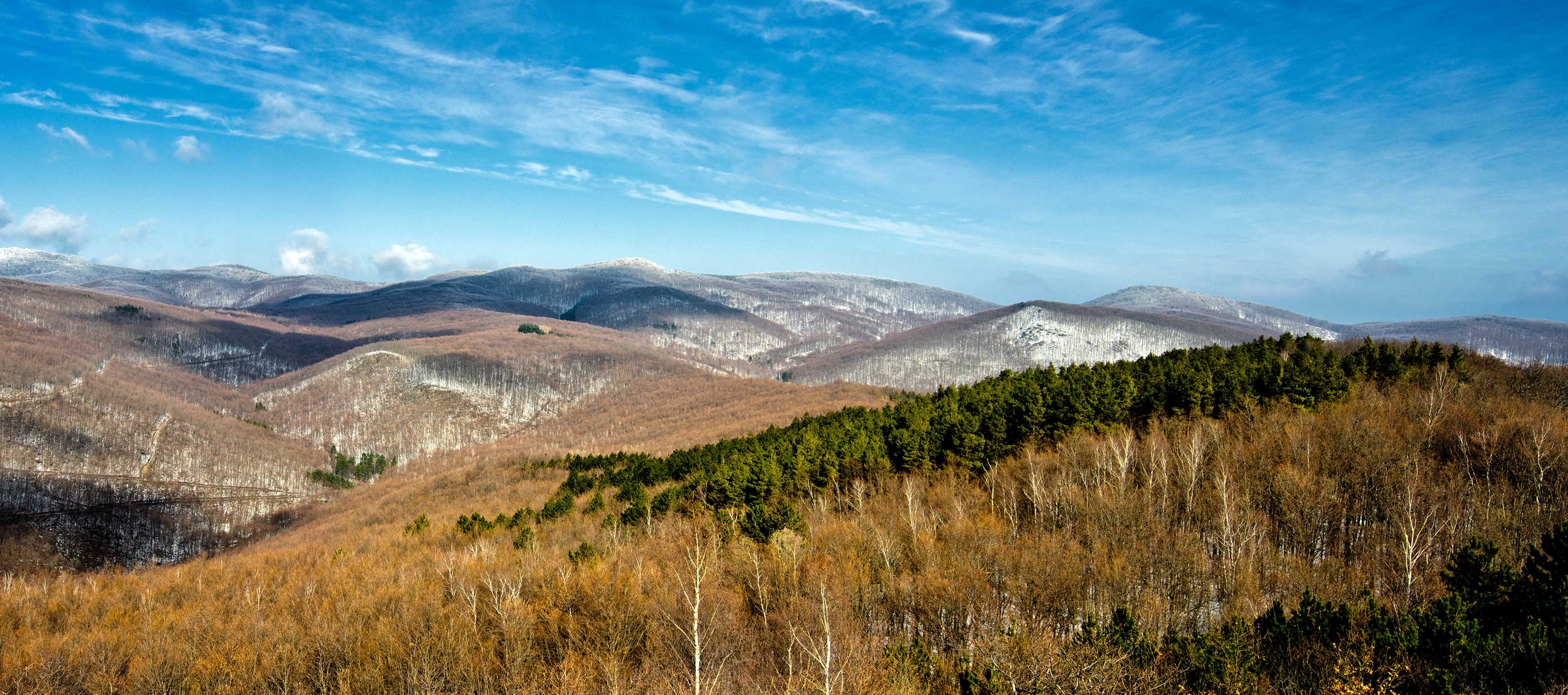 Papuk Nature Park - Slavonian forests on Papuk, Croatia