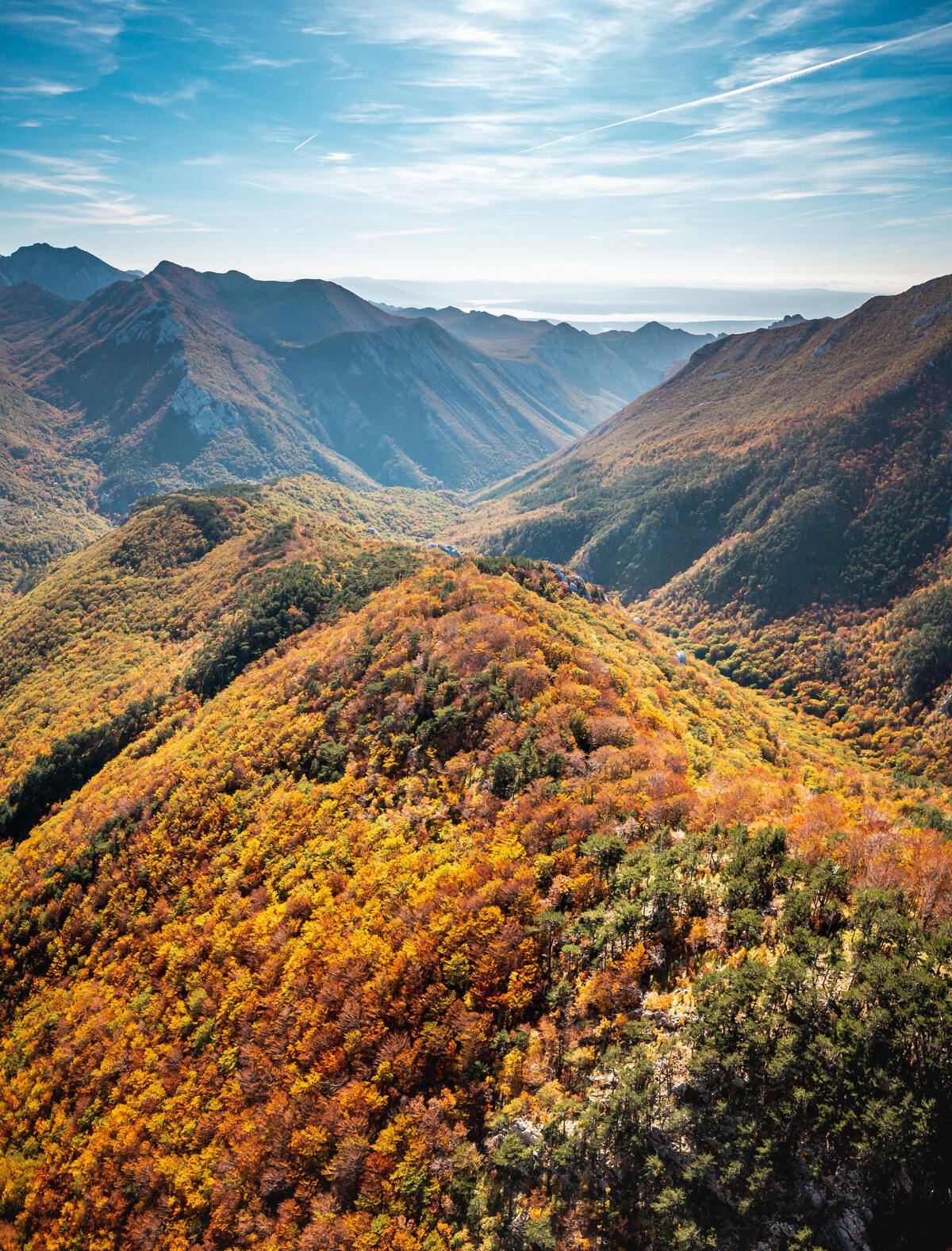 Ancient and Primeval Beech Forests in Croatia | Croatia.hr