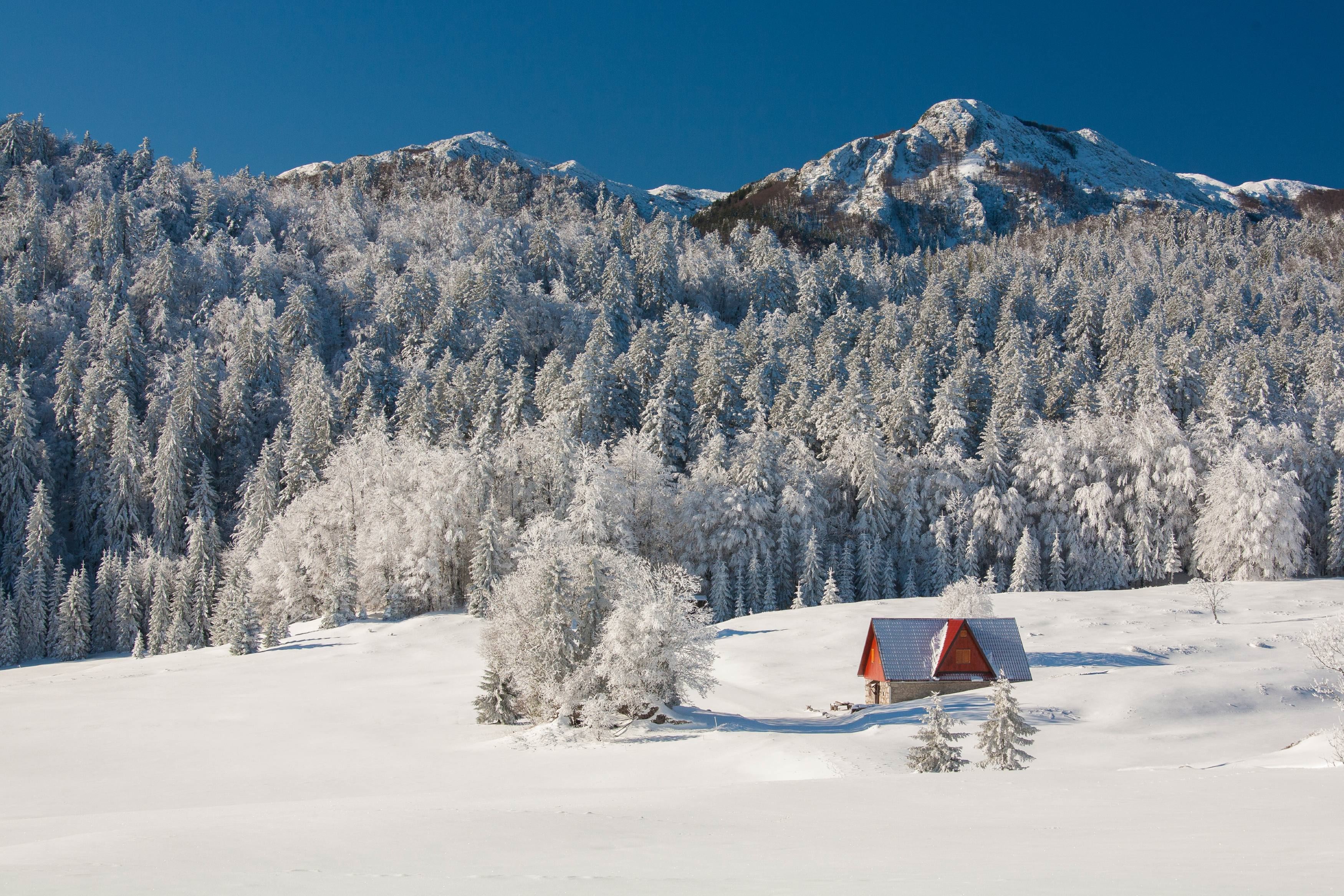 Winter Fairytale in Gorski Kotar | Croatia.hr
