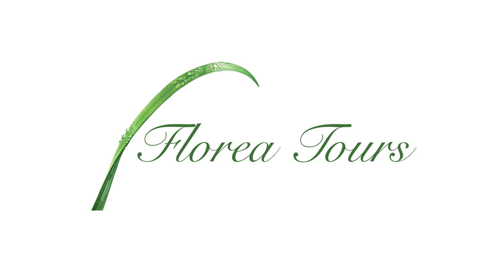 Croatia.hr | Florea Tours